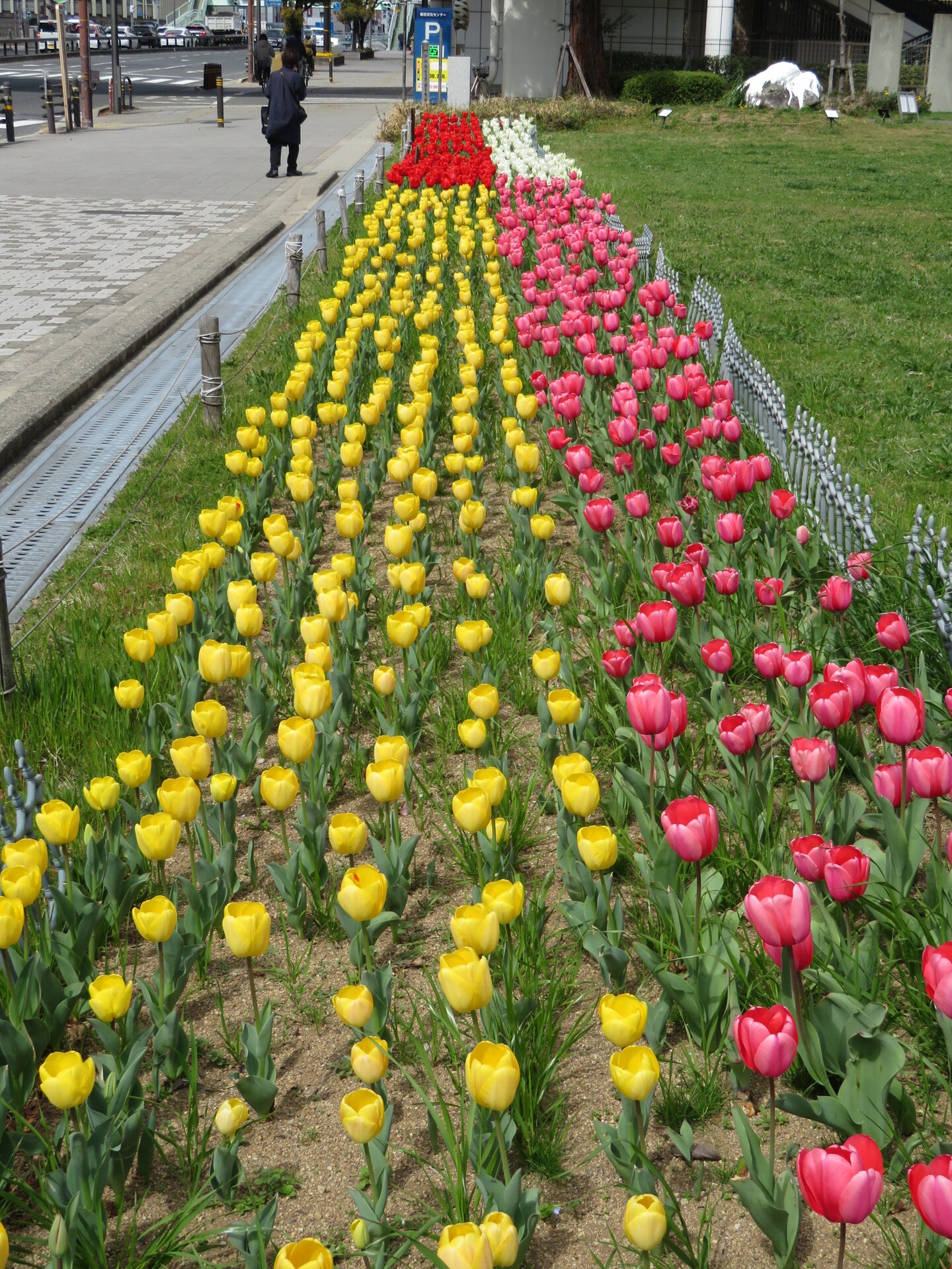 サトテル選手の2ランで追いついたけど・・・対DeNA: ばあば（茶々）のひとりごと